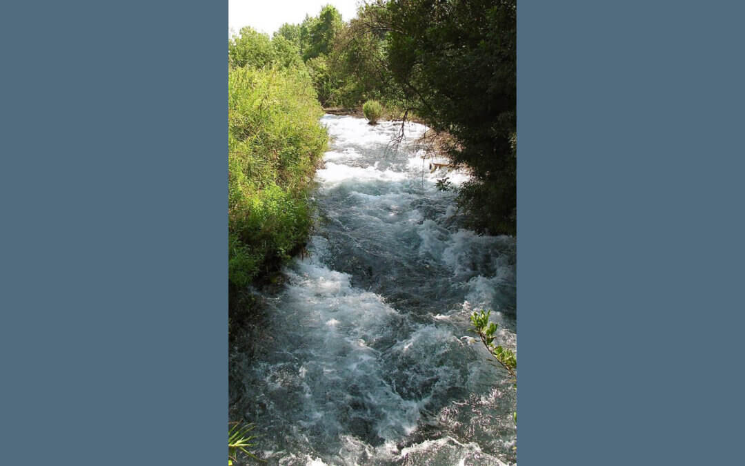 Sunday Worship Bulletin and Weekly Newsletter for January 11, 2026 ...